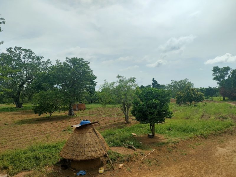 El país Somba en Benin